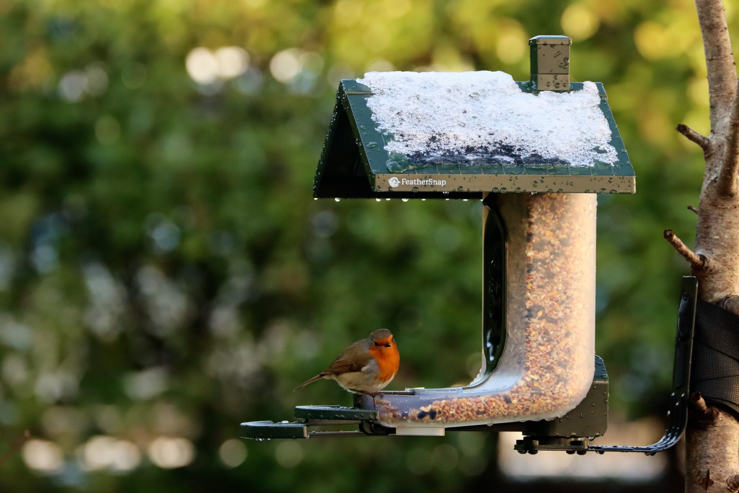 Technology takes flight in garden retail: FeatherSnap brings smart ...